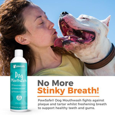 Best Dog Mouthwash | Ask Canine